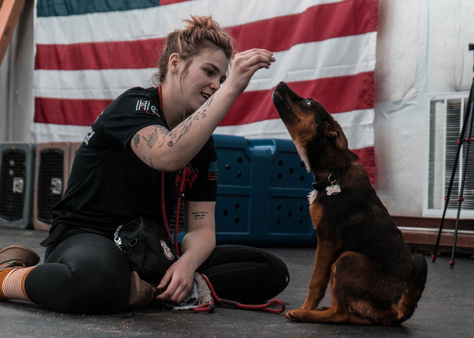 Dog Training in Virginia | Adult Dog Training Classes